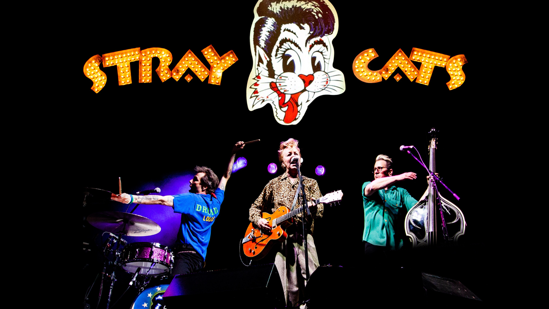 Event : Stray Cats: Summer Tour